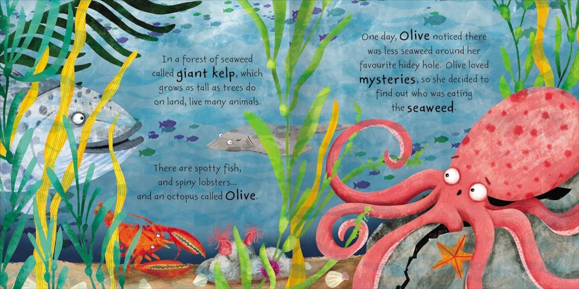 Buy Olive the Octopus - Storybook (Paperback) Book in Pakistan