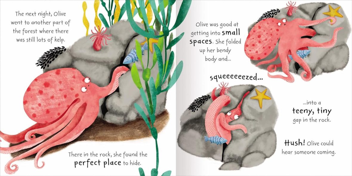 Buy Olive the Octopus - Storybook (Paperback) Book in Pakistan